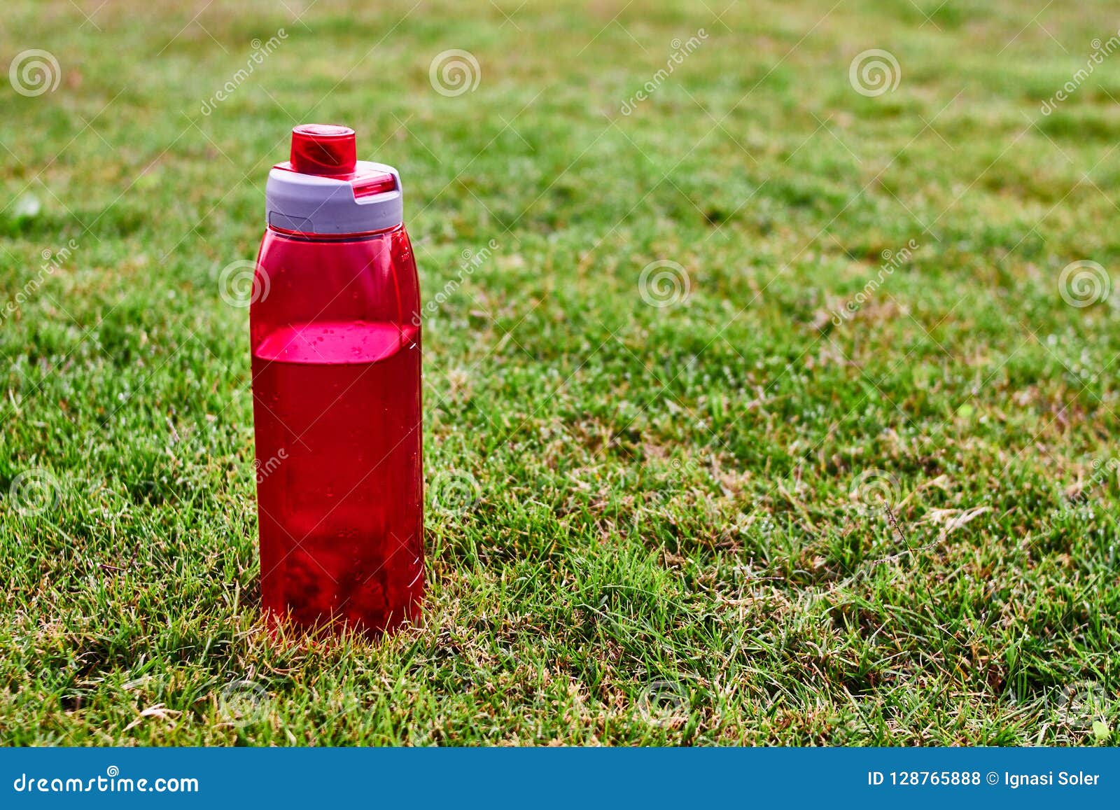 Red Water Bootle on the Grass Stock Photo - Image of outside, cheerful ...