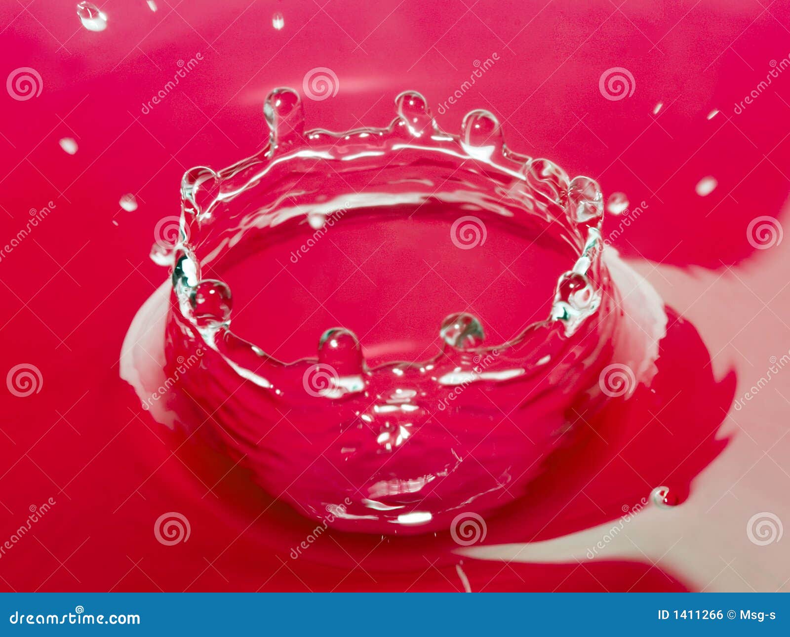 Red water bowl stock photo. Image of bowl, drips, droplet - 1411266