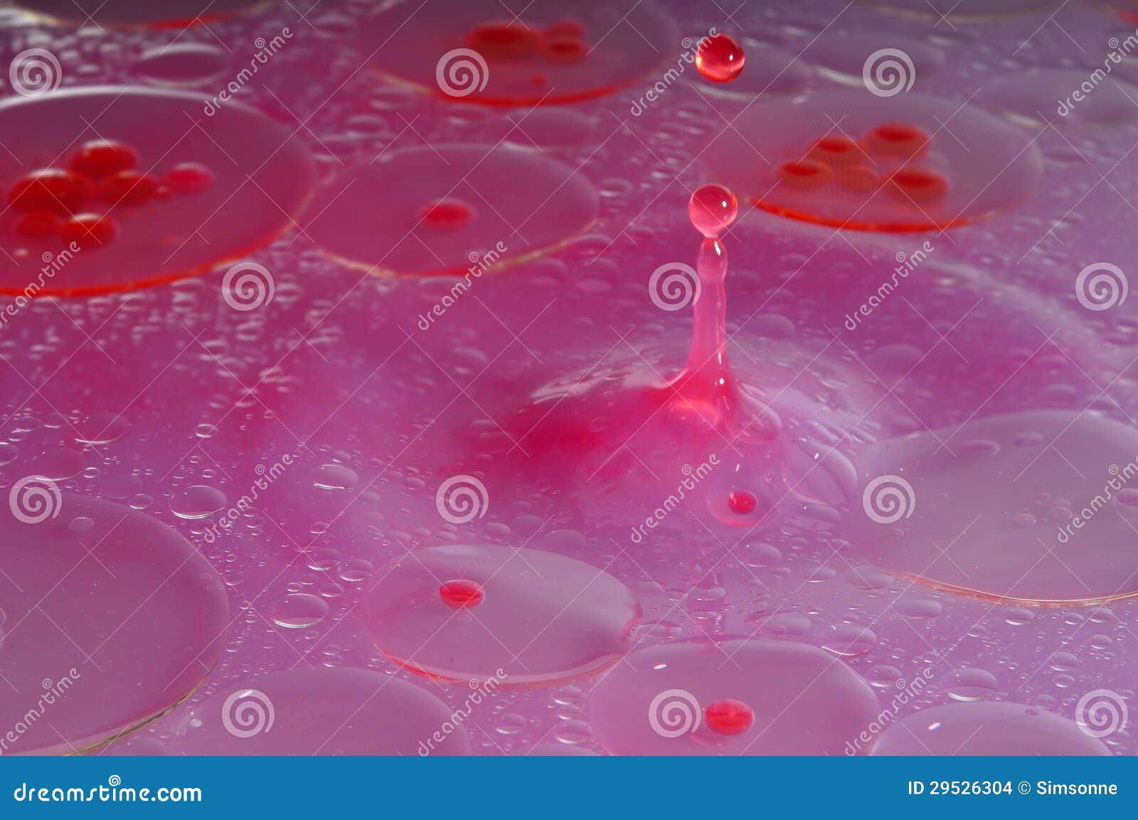 Red Water drops stock photo. Image of physics, waves - 29526304