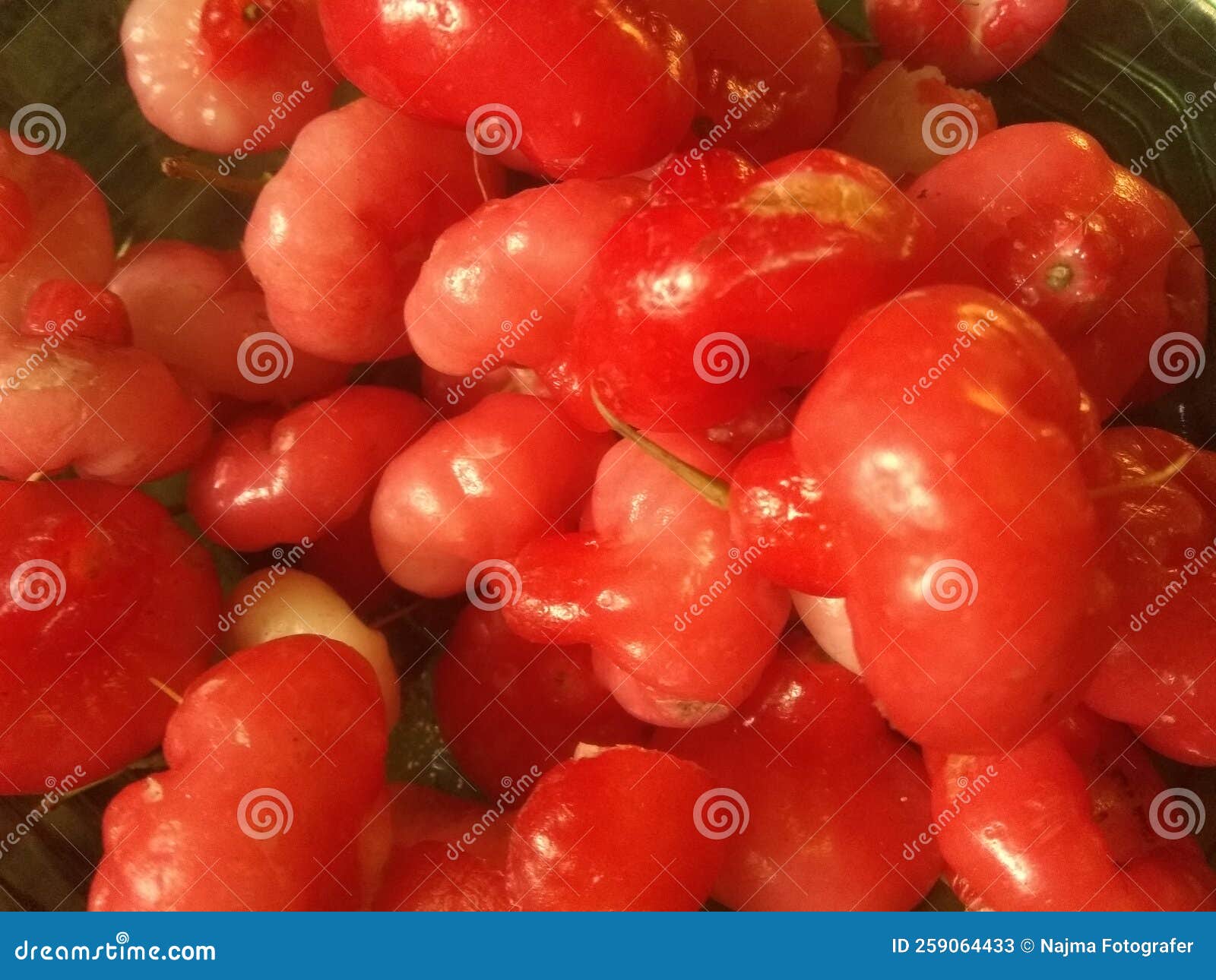 Red water guava stock image. Image of green, natural - 259064433