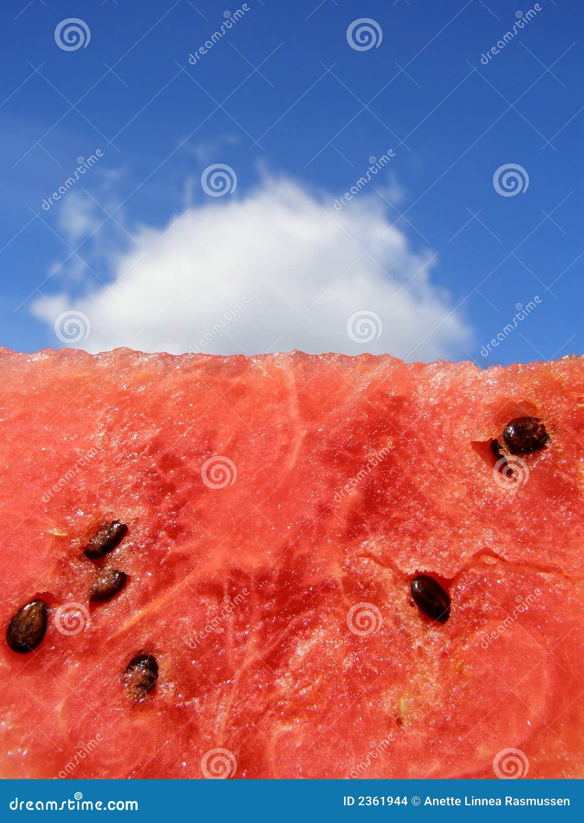 Red water melon stock photo. Image of flesh, close, juicy - 2361944