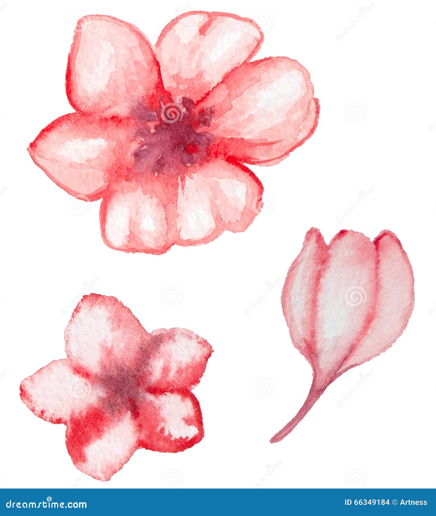 Red watercolor flowers stock vector. Illustration of design - 66349184