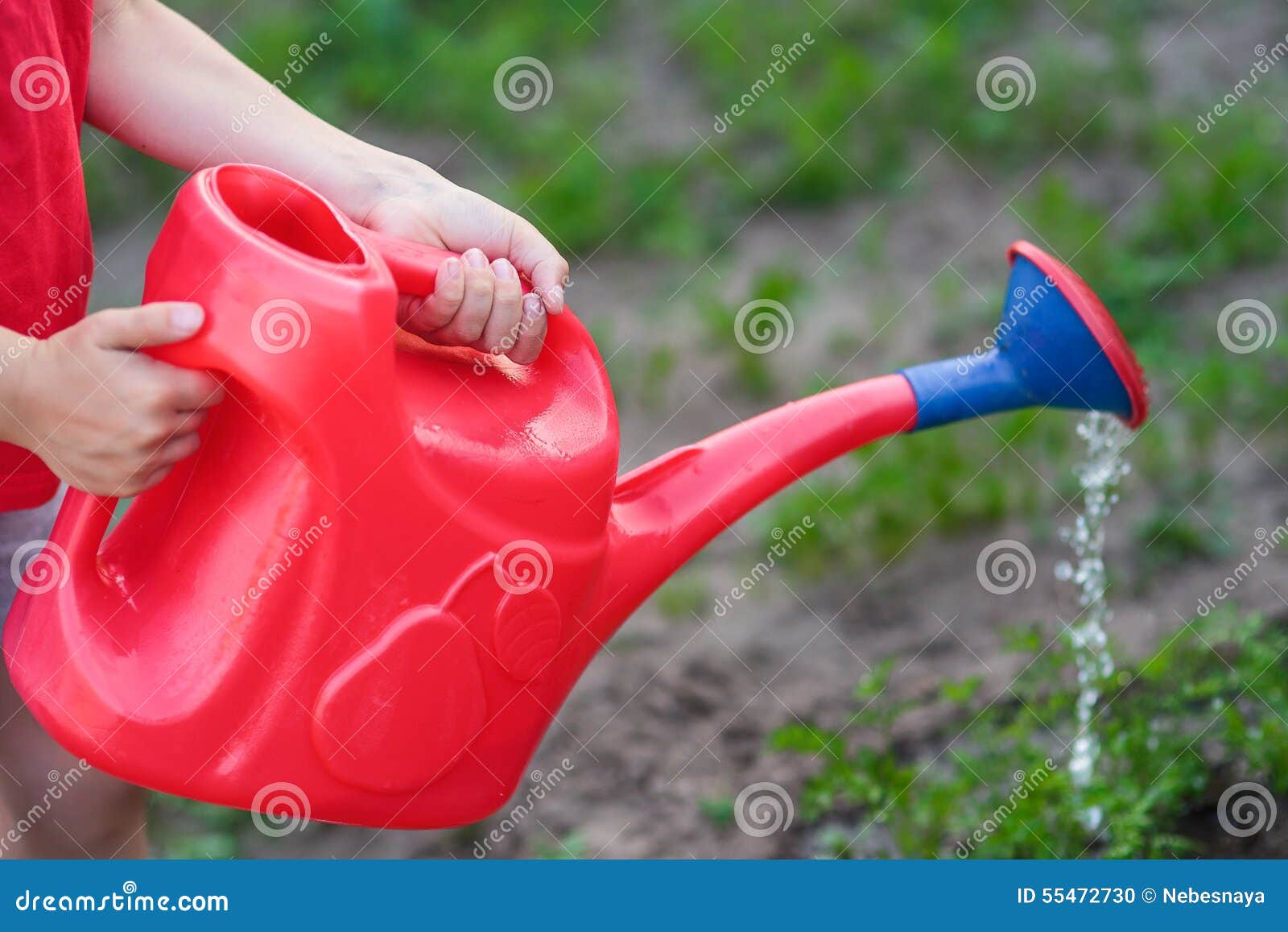 Red watering-can stock photo. Image of plastic, gardening - 55472730
