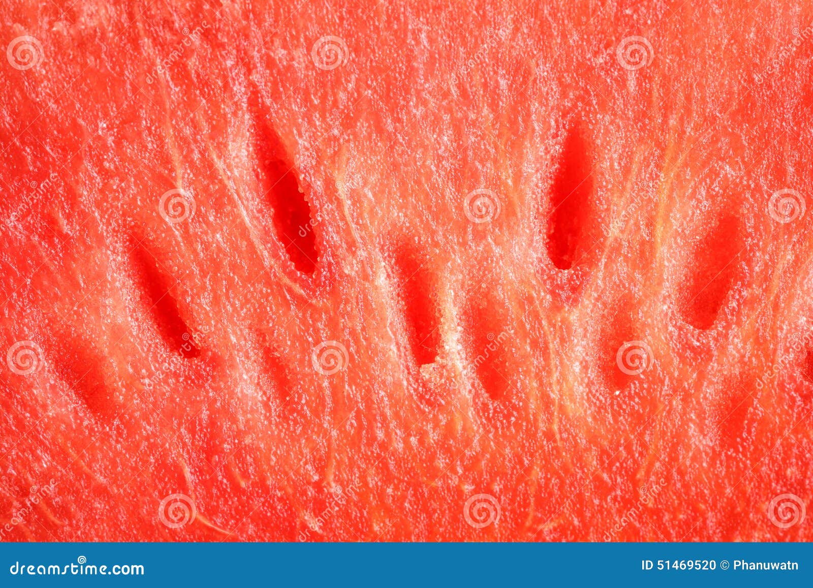 Watermelon Texture Royalty-Free Stock Photography | CartoonDealer.com ...