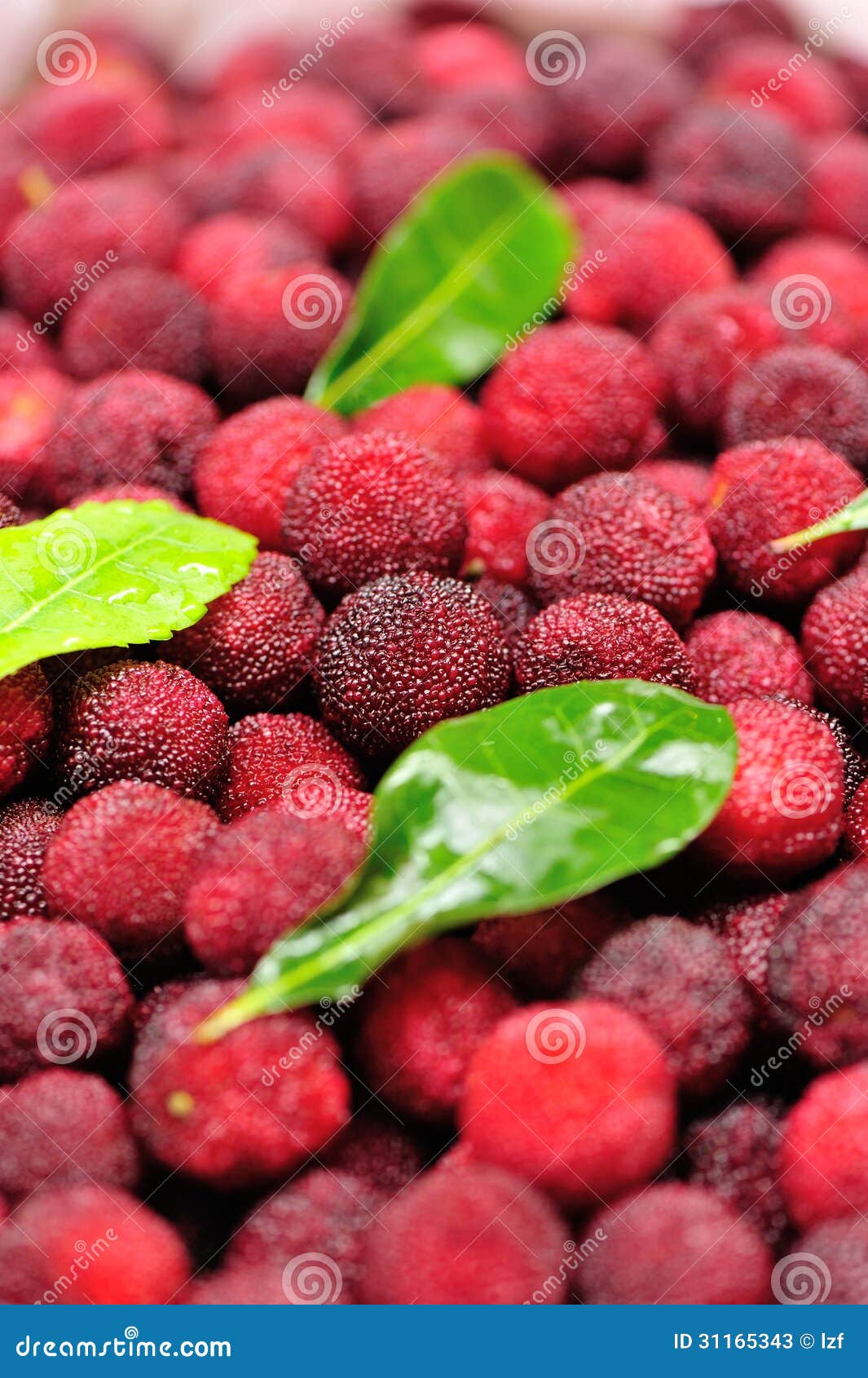Red waxberry market stock image. Image of healthy, bayberry - 31165343