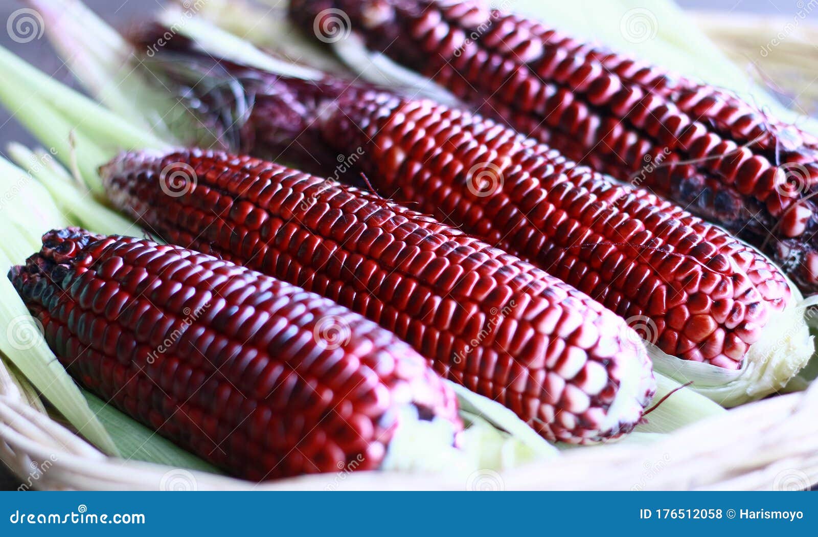 296 White Waxy Corn Stock Photos - Free & Royalty-Free Stock Photos ...