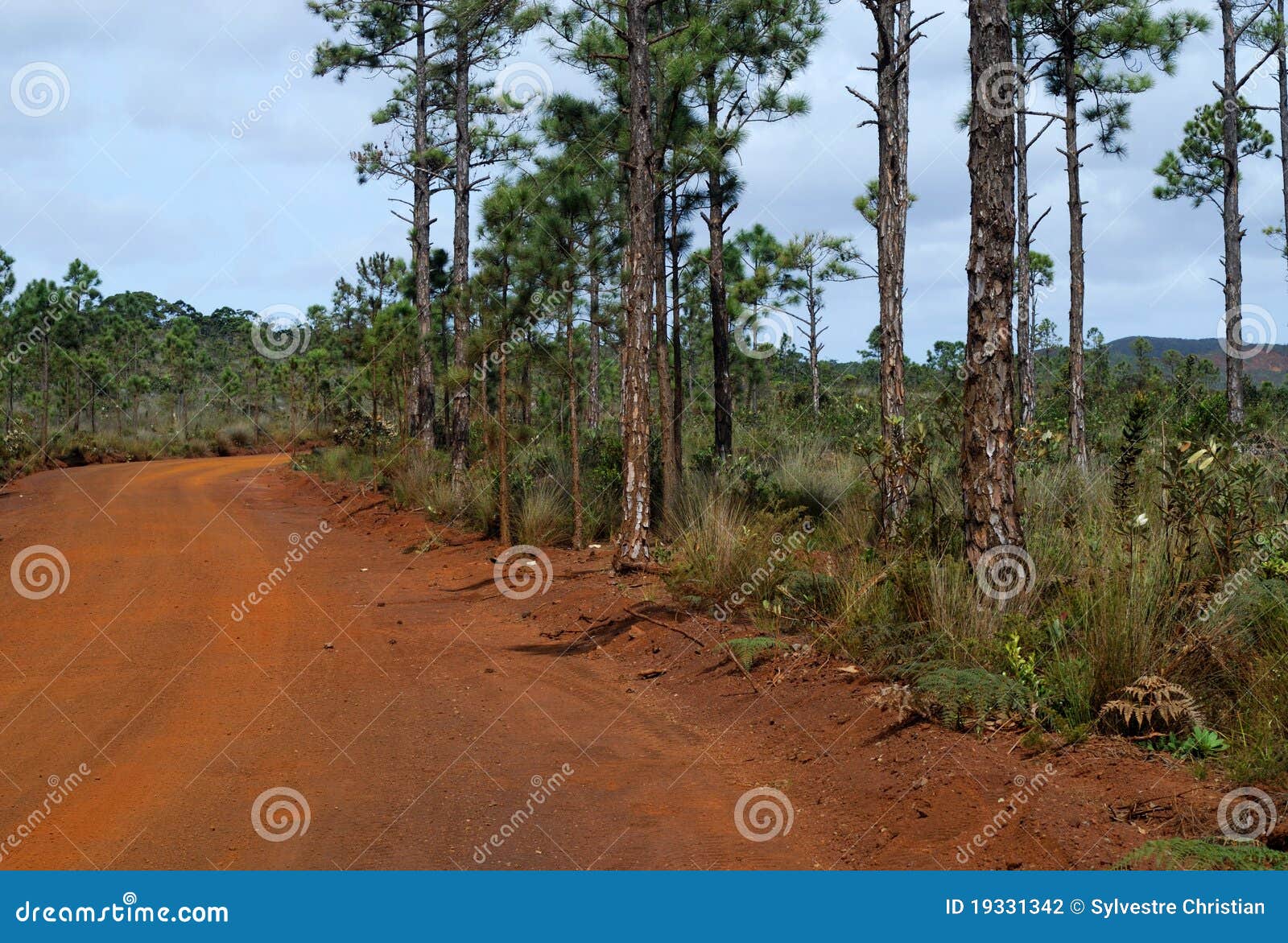 The red way stock photo. Image of calm, land, quiet, road - 19331342