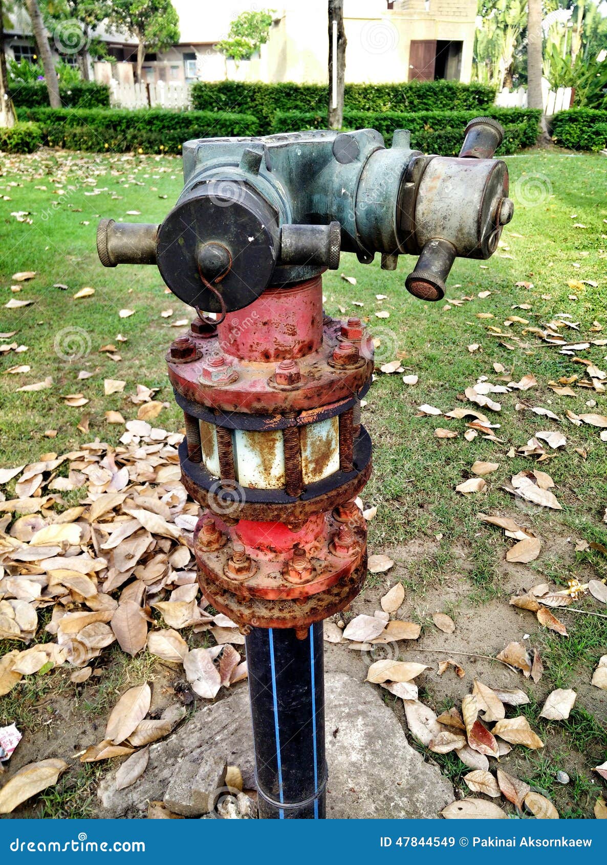 Red 2 way fire hydrant editorial stock image. Image of plumbing - 47844549