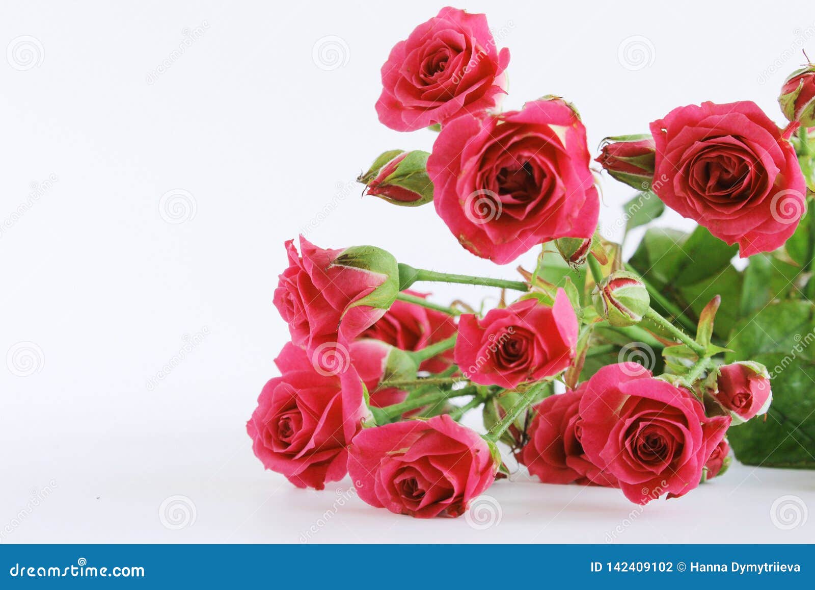 Red Wedding Roses Bouquet White Background Stock Photo - Image of ...