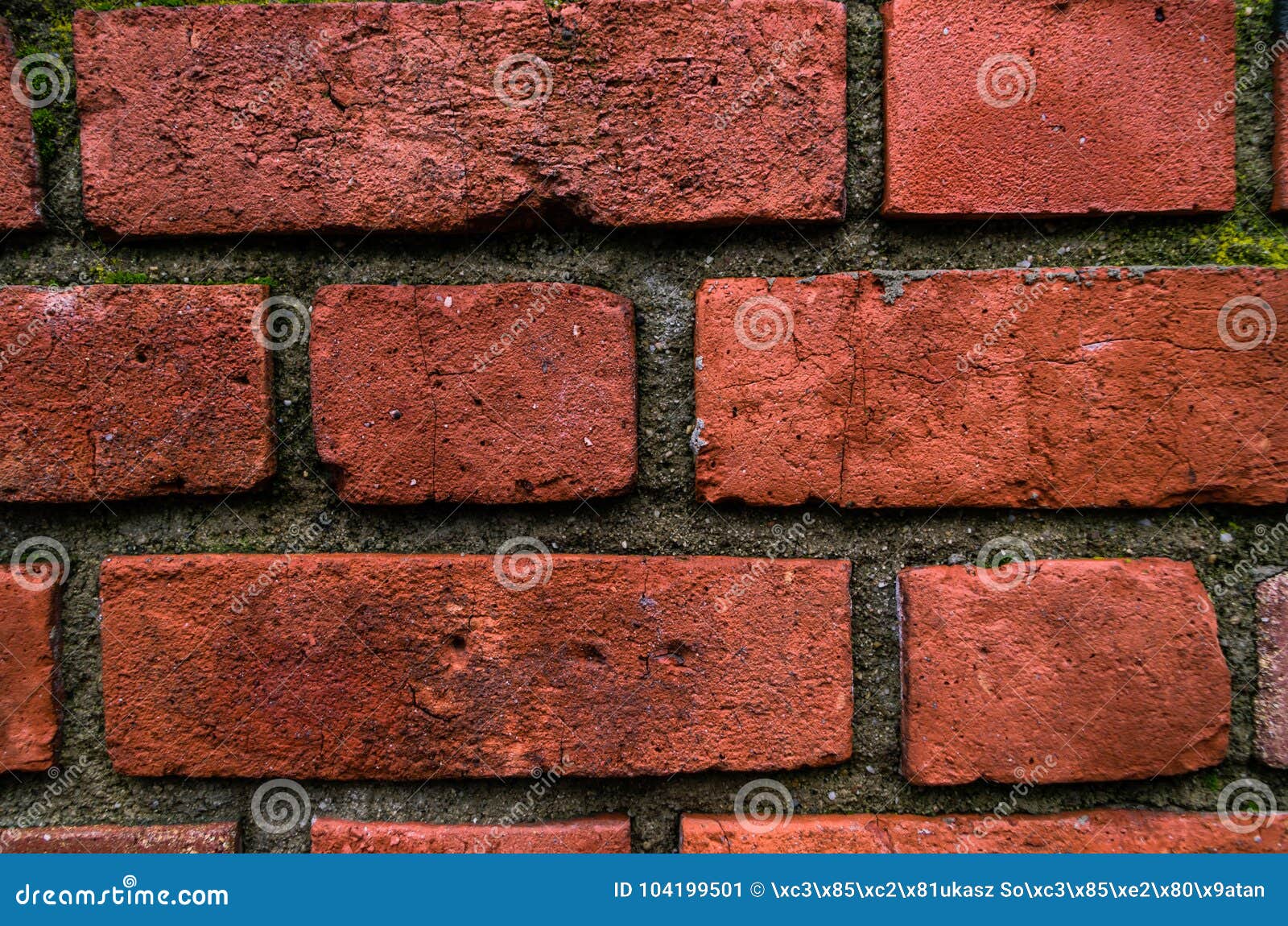 Red Wet Brick Wall during Rainy Morning Stock Image - Image of grunge ...