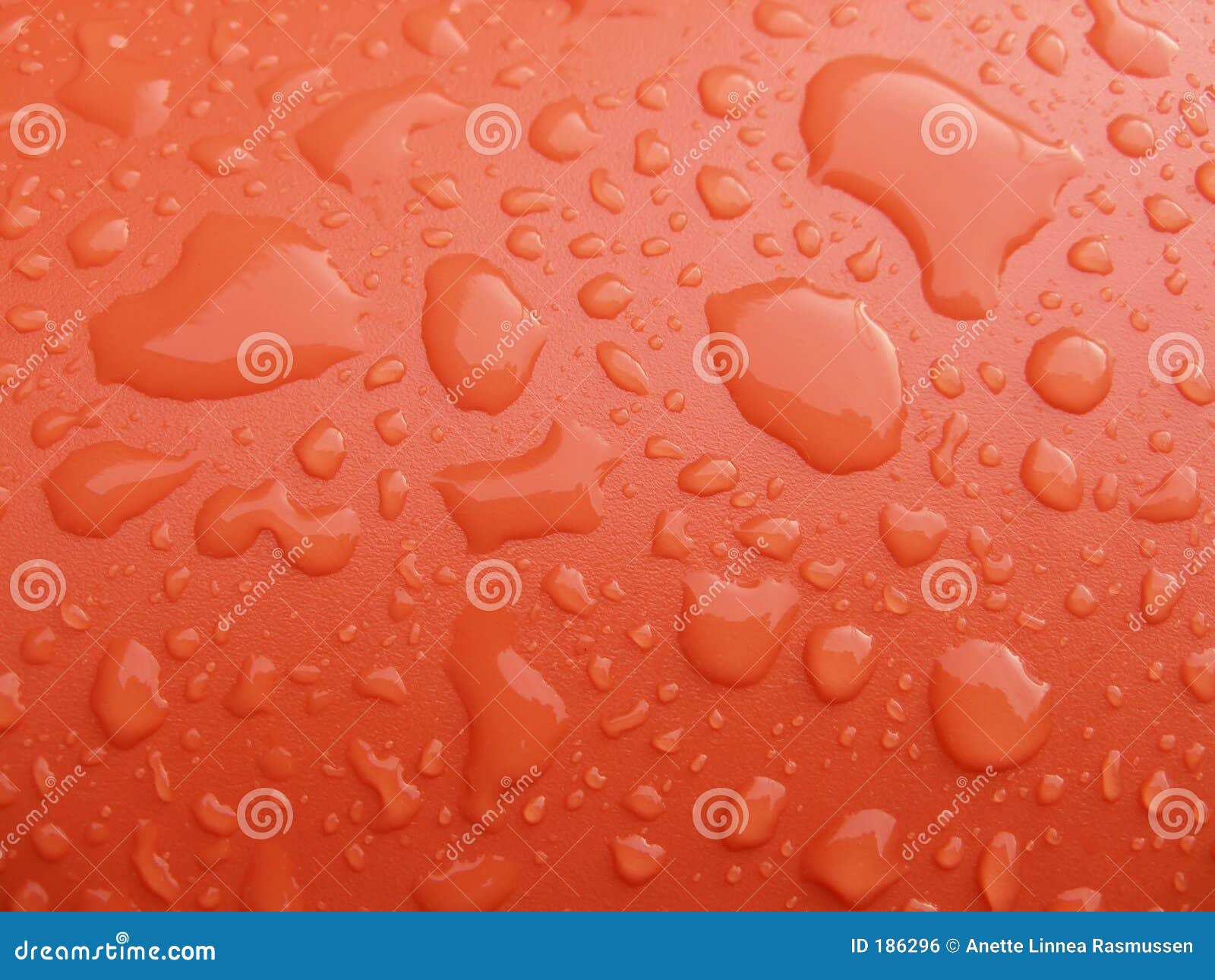 Red and wet surface stock photo. Image of bubble, macro - 186296