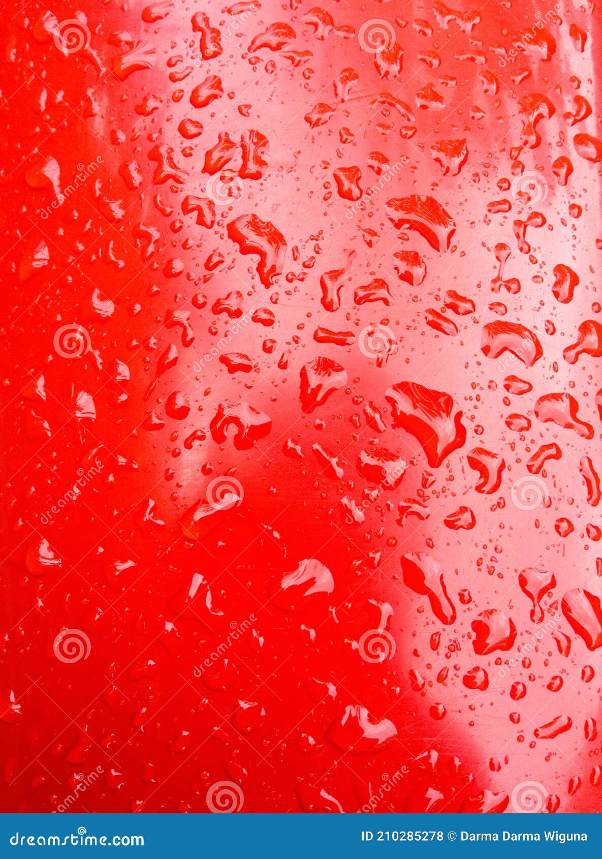 Red wet Wallpaper stock photo. Image of rain, wallpaper - 210285278