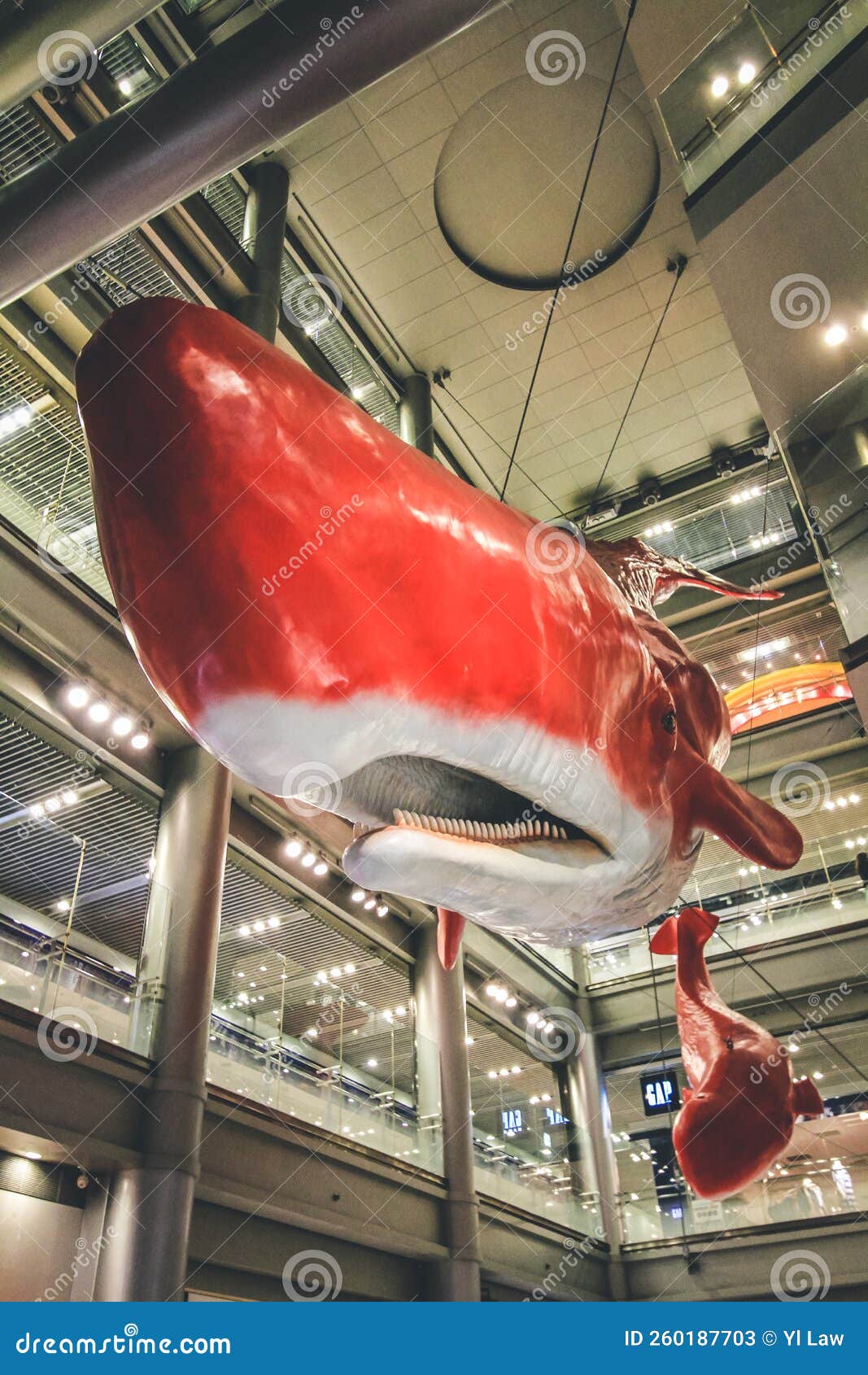 Red Whale Sculpture Display HEP Five, Osaka 10 April 2012 Editorial ...