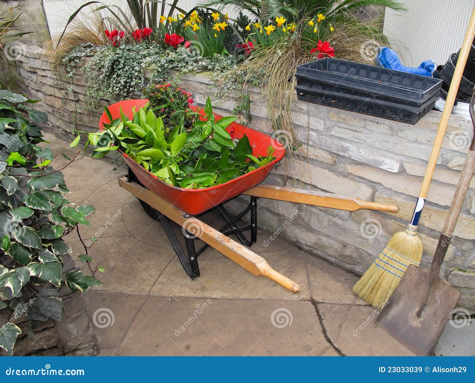 Red Wheelbarrow stock image. Image of flora, vegetation - 23033039