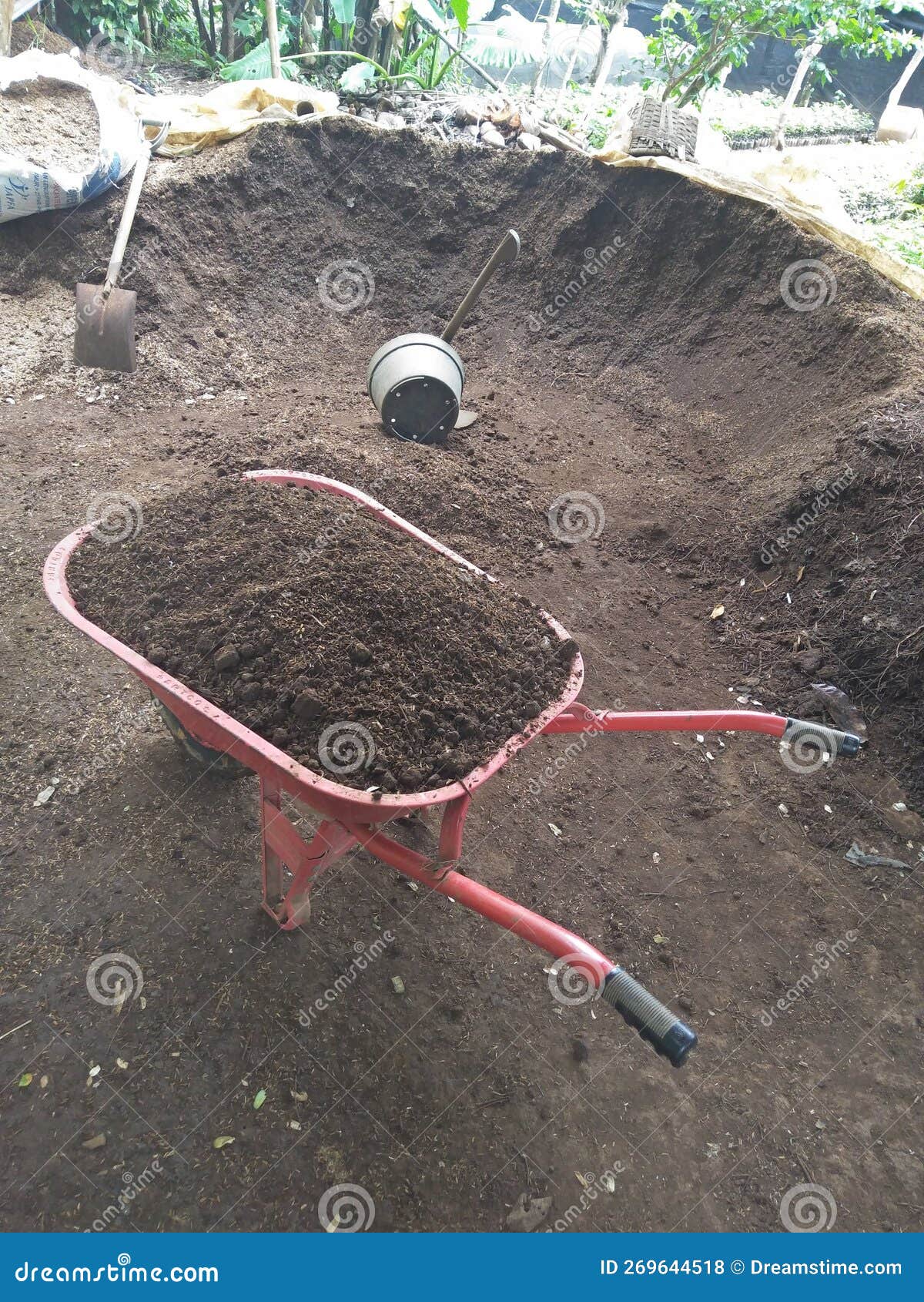 Red Wheelbarrow on farm stock photo. Image of sand, flooring - 269644518
