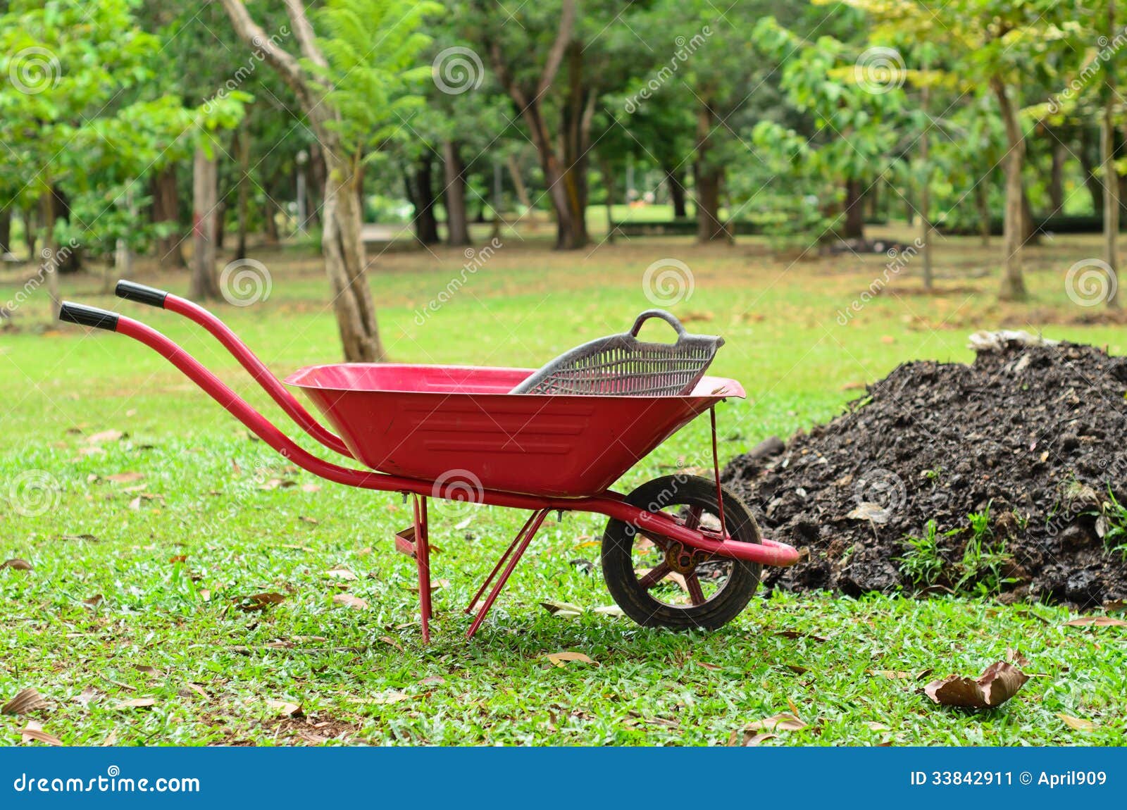 Red wheelbarrow in garden stock image. Image of yard - 33842911