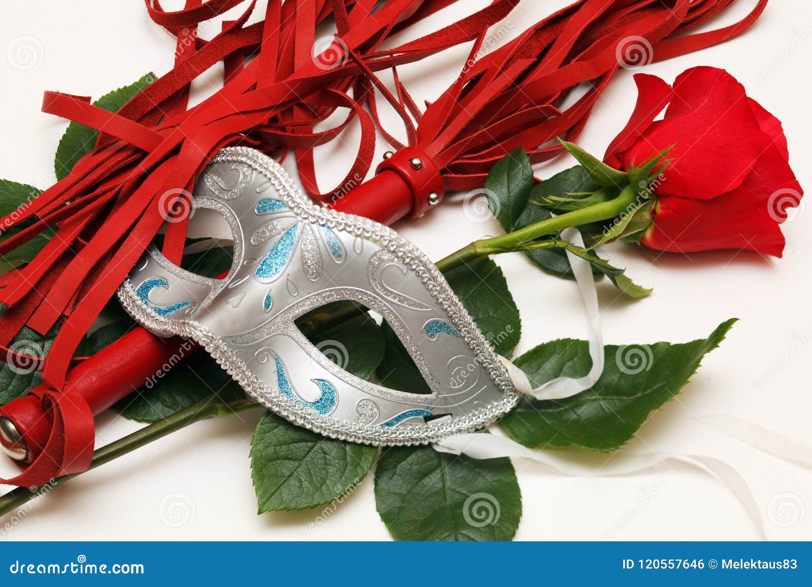 Whip and a rose stock photo. Image of vanity, concepts - 120557646