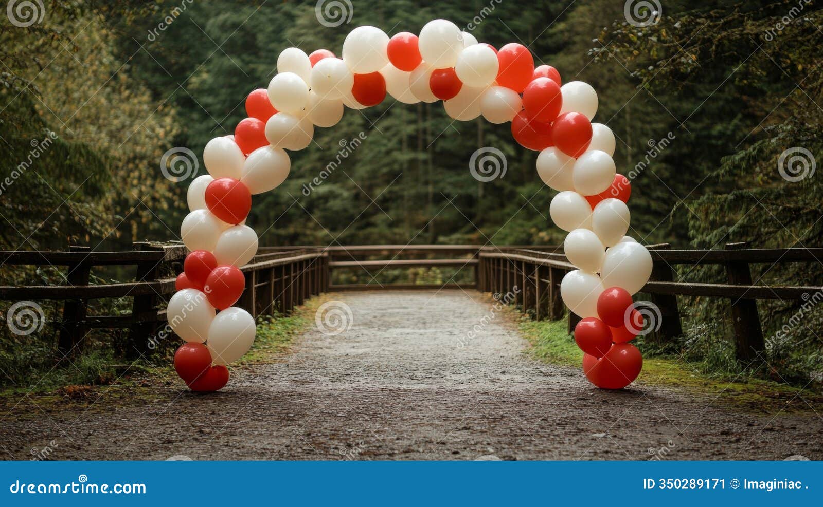 Red and White Balloon Archway on a Forest Path Stock Illustration ...