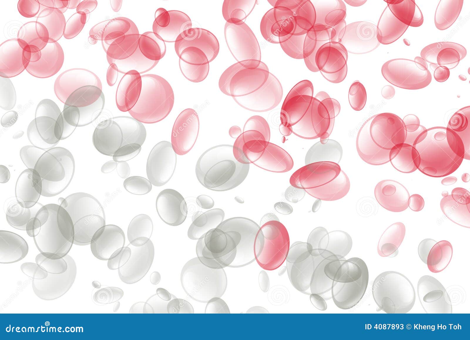 Red White Blood Cells stock illustration. Illustration of plasma - 4087893