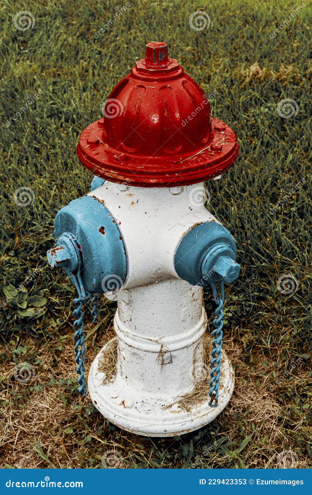 Red White Blue American Fire Hydrant Stock Image - Image of grass ...