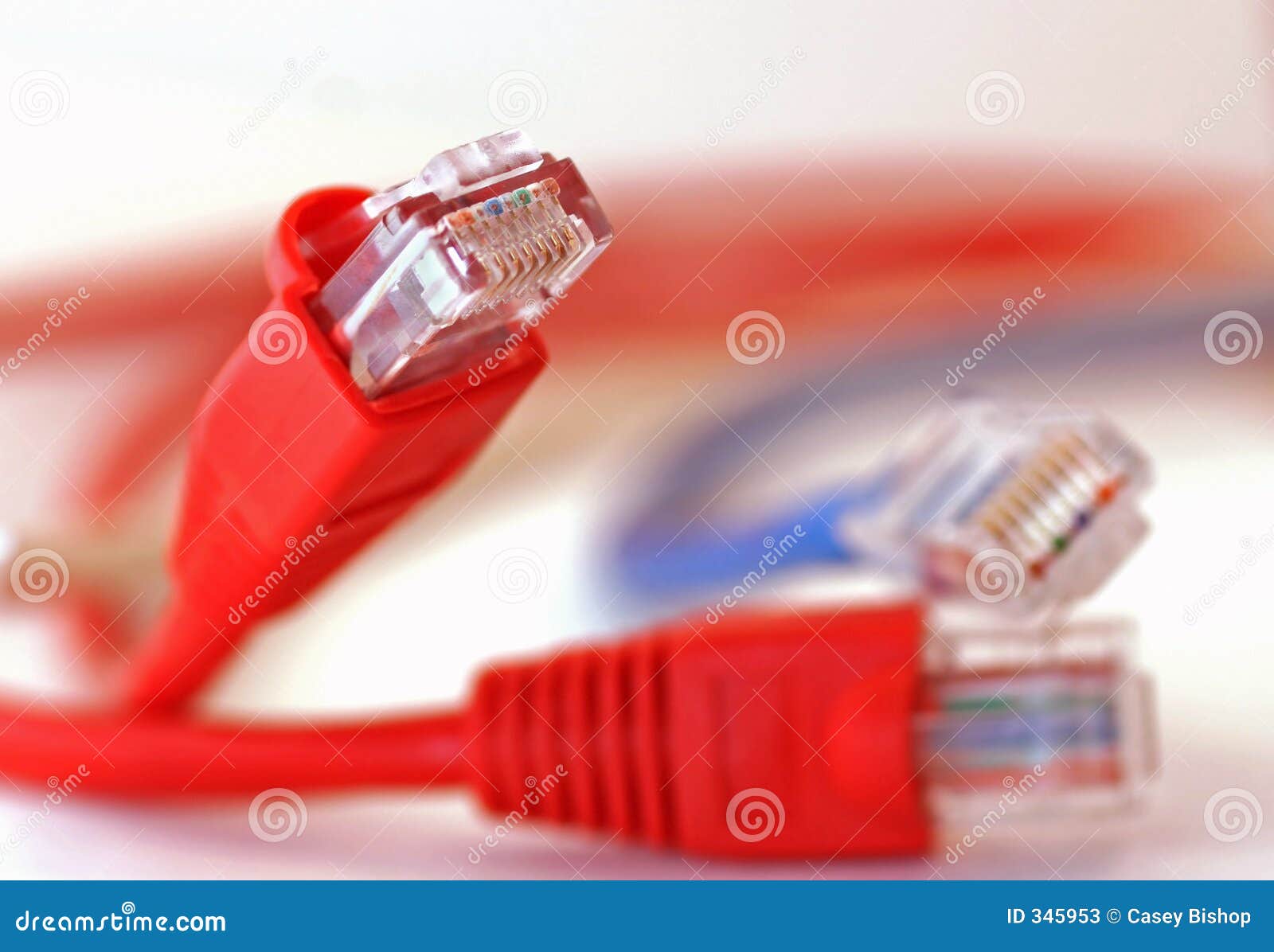 Red White and Blue CAT 5 Cables Stock Image - Image of modem, data: 345953