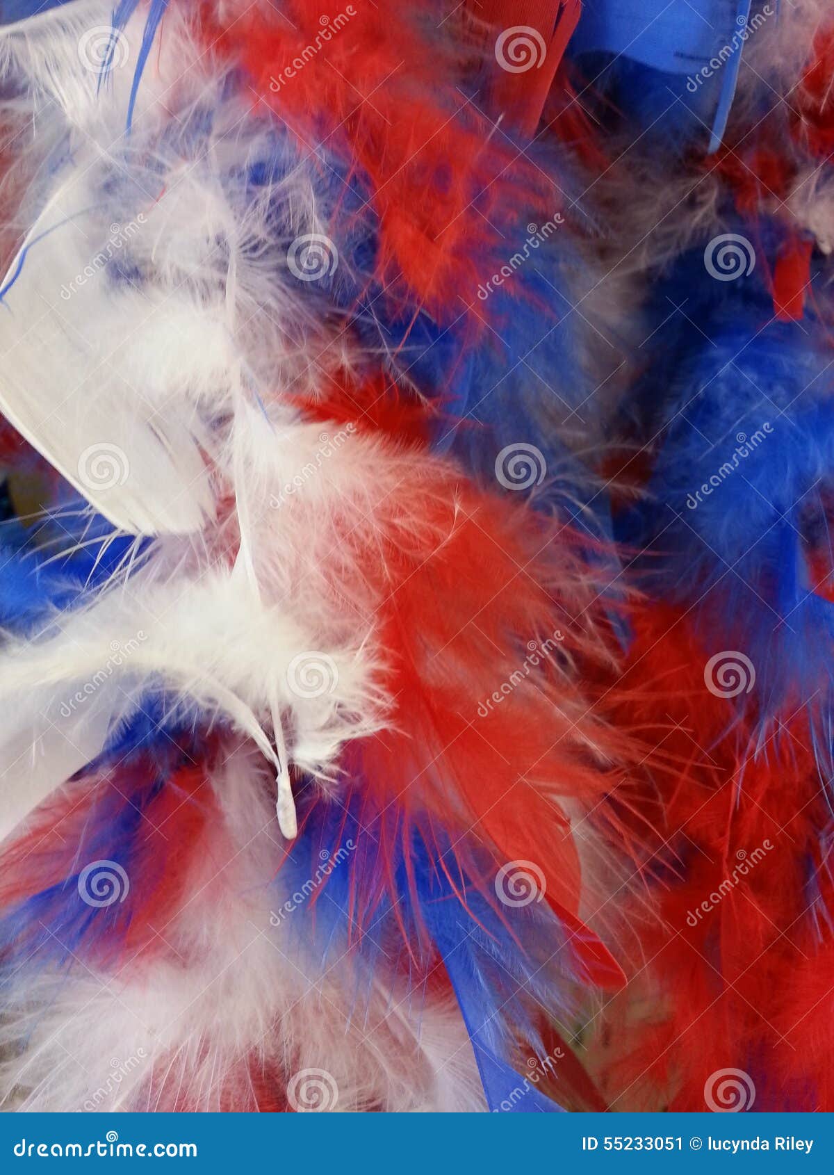 Red White & Blue Feathers Stock Image - Image of feather, independence ...