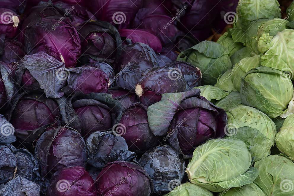 Red and White Cabbage on a Market Stall Stock Image - Image of vegan ...