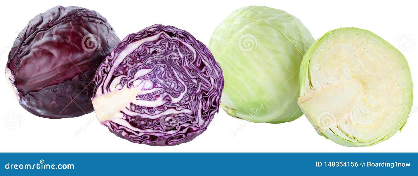 Red and White Cabbage Sliced Fresh Food Vegetable Isolated Stock Photo ...