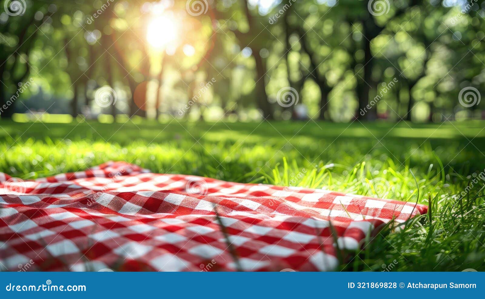Red and White Checkered Blanket on Green Grass Under Sunlight in the ...