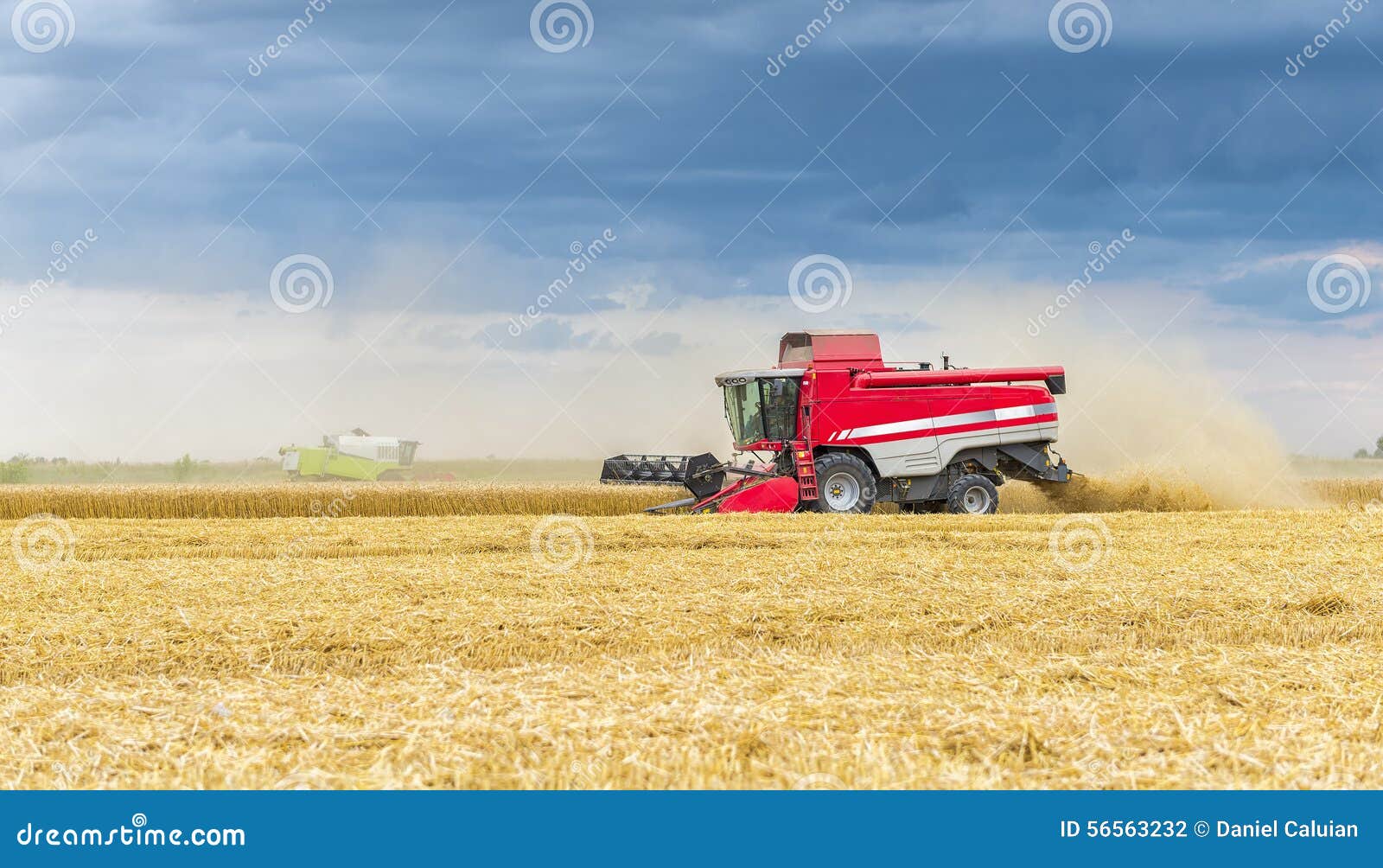 Red and White Combine Harvesting Stock Photo - Image of countryside ...