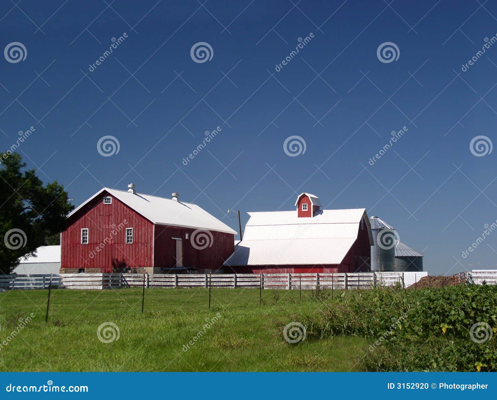 Red and White Farm Buildings Stock Photo - Image of trim, sunny: 3152920