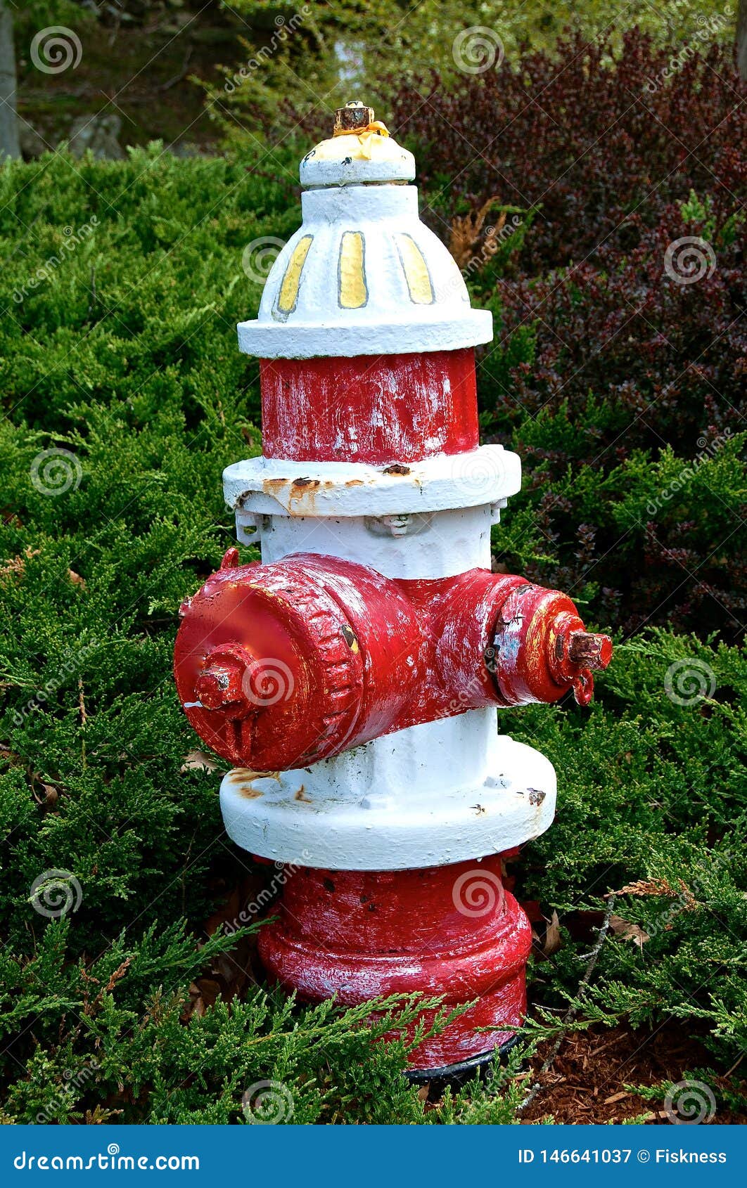 Red and white fire hydrant stock image. Image of faded - 146641037