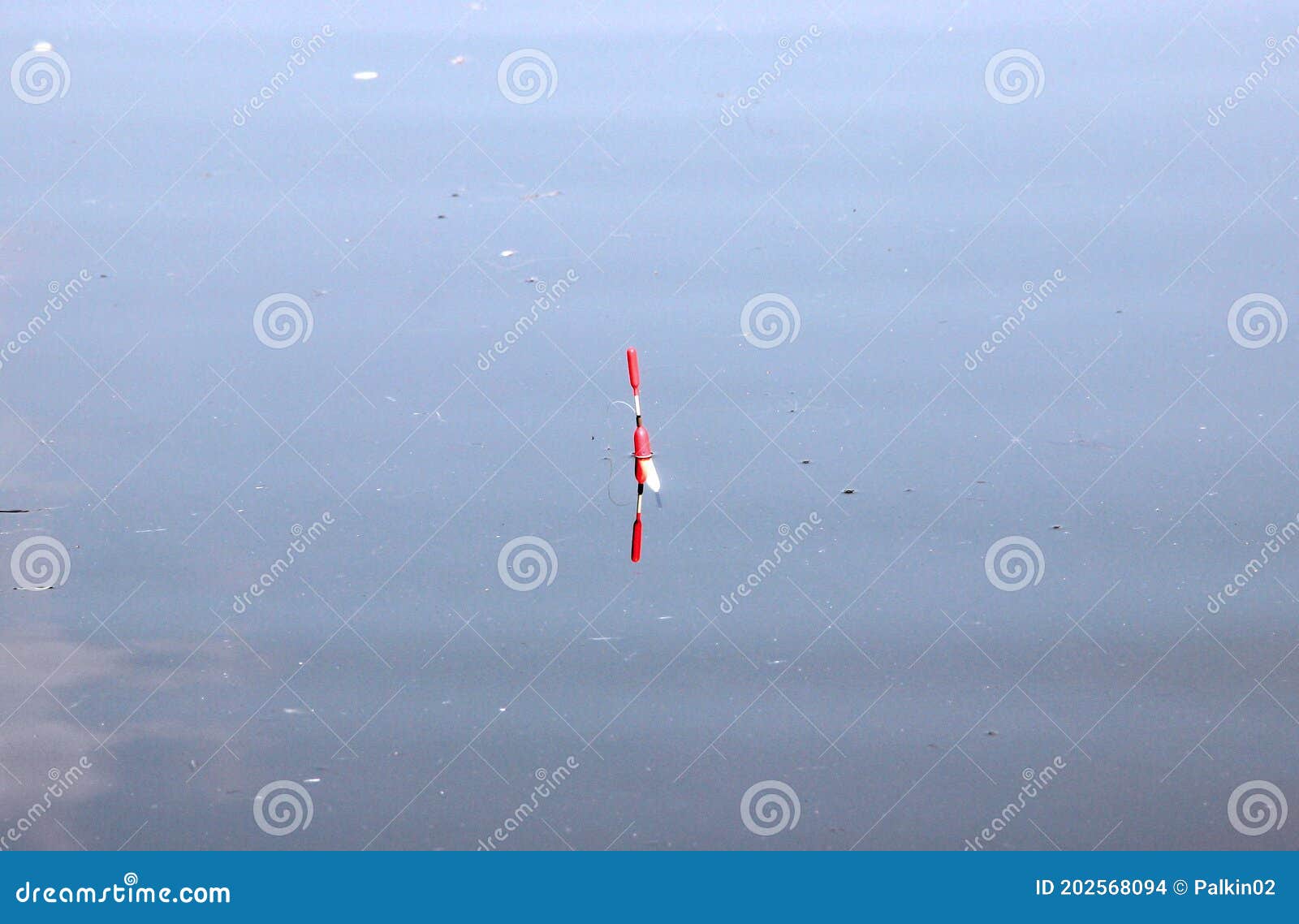 Red and White Fishing Float on the Water. Stock Photo - Image of summer ...