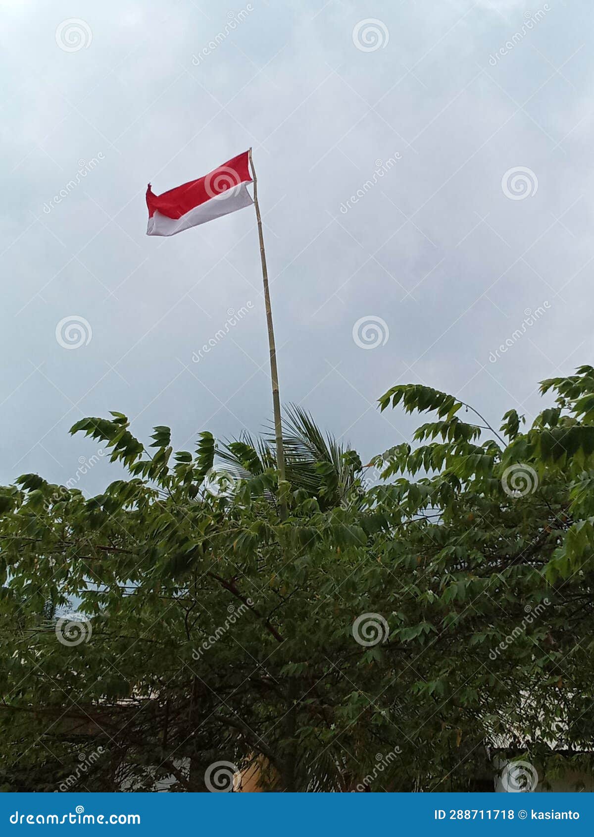 The Red and White Flag with Bamboo Look so Beautiful on the Tree Stock ...