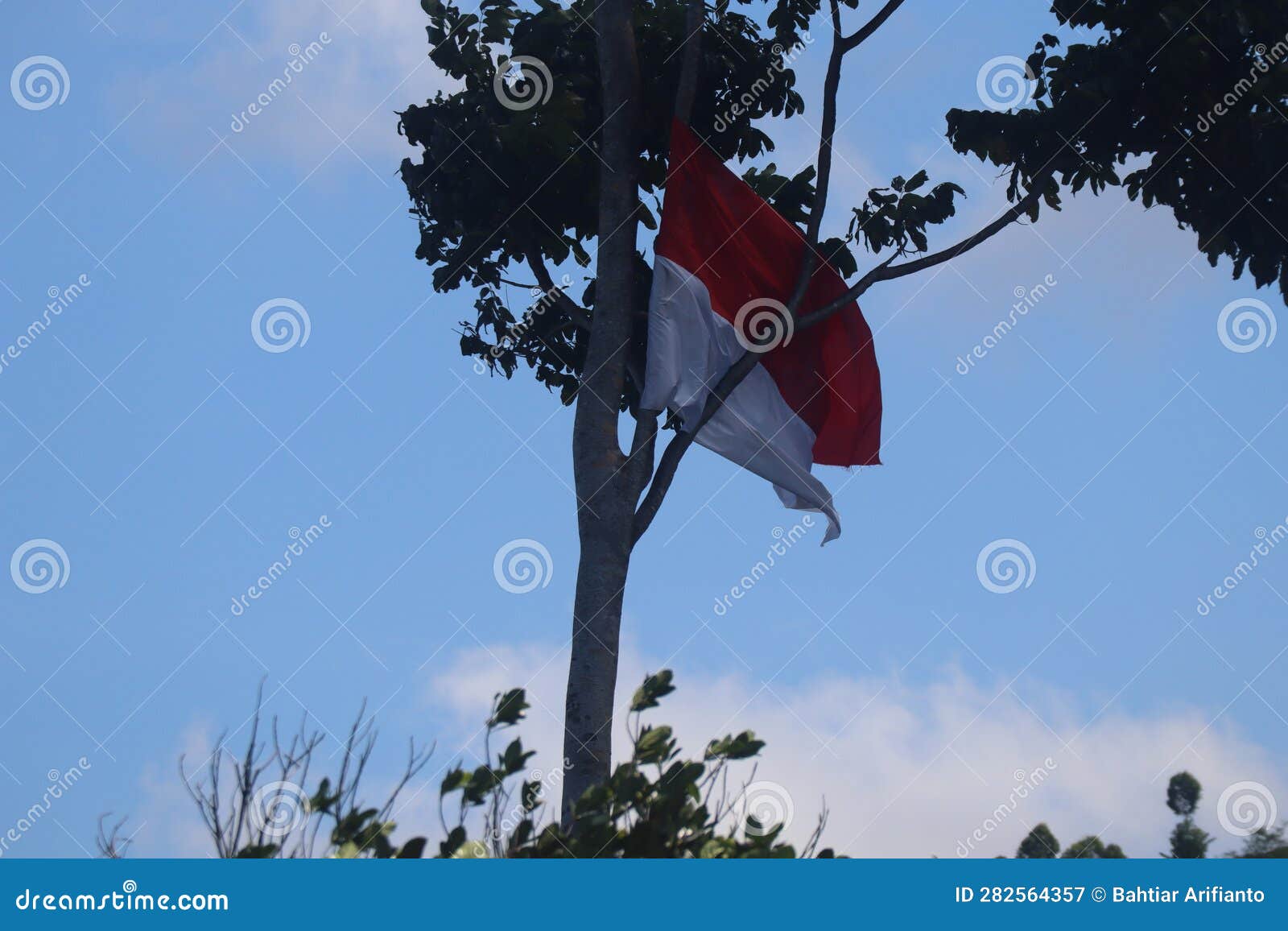 The Red and White Flag Flutters on a Tree Stock Image - Image of 2023 ...