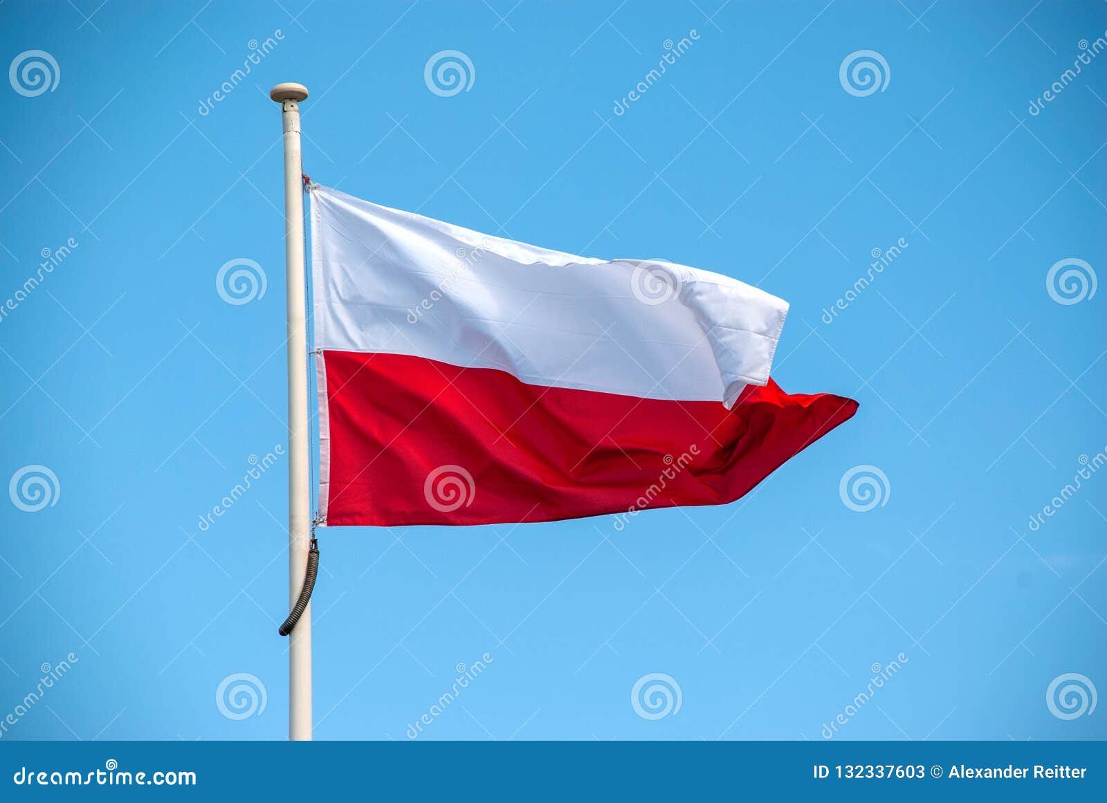 Flag of poland stock image. Image of poland, nation - 132337603
