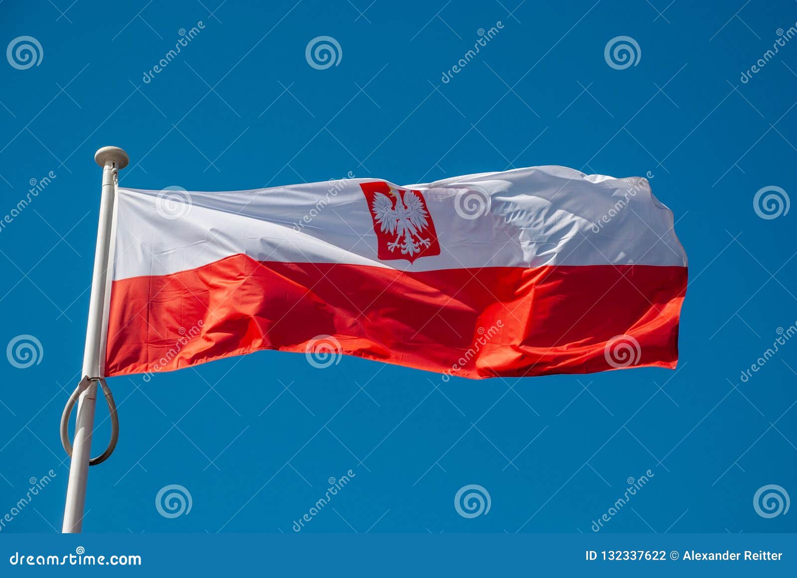 Flag of poland stock photo. Image of white, banner, nation - 132337622