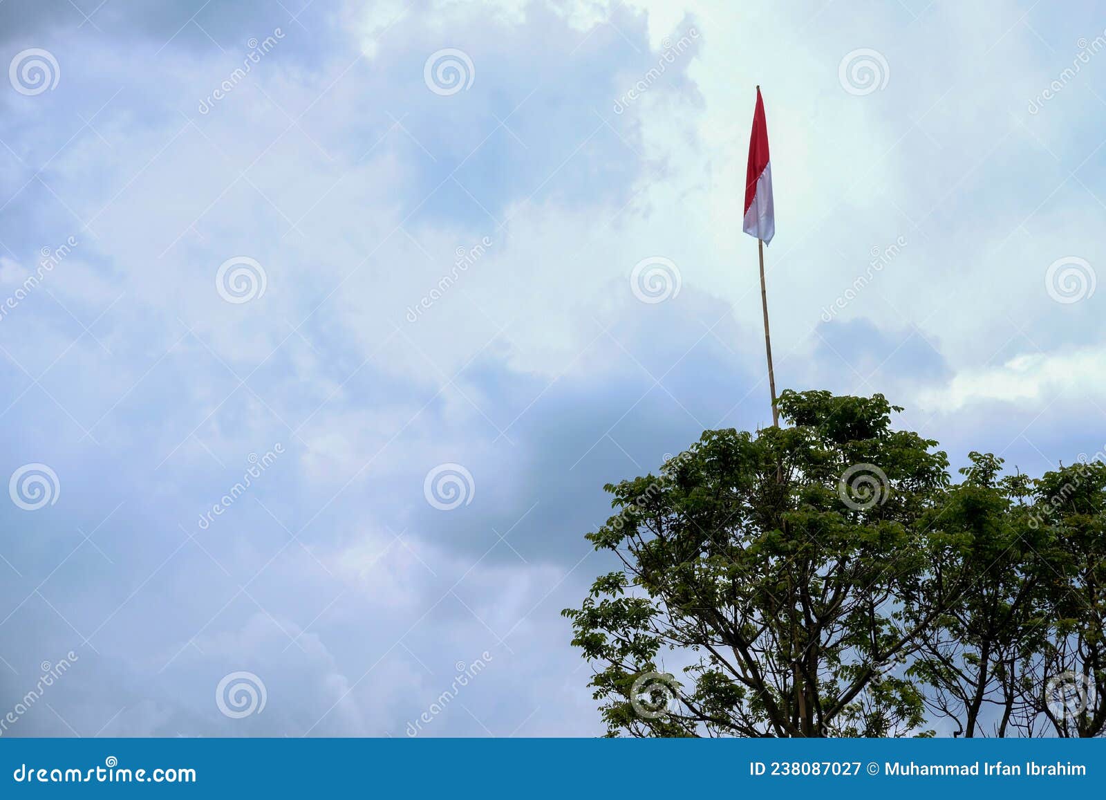 The Red and White Flag is Mounted on a Tree. Stock Image - Image of ...