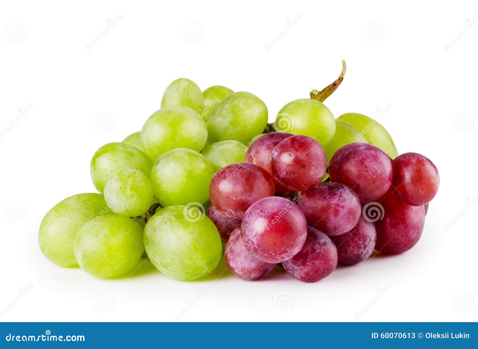 Red and white grapes stock image. Image of nature, plant - 60070613