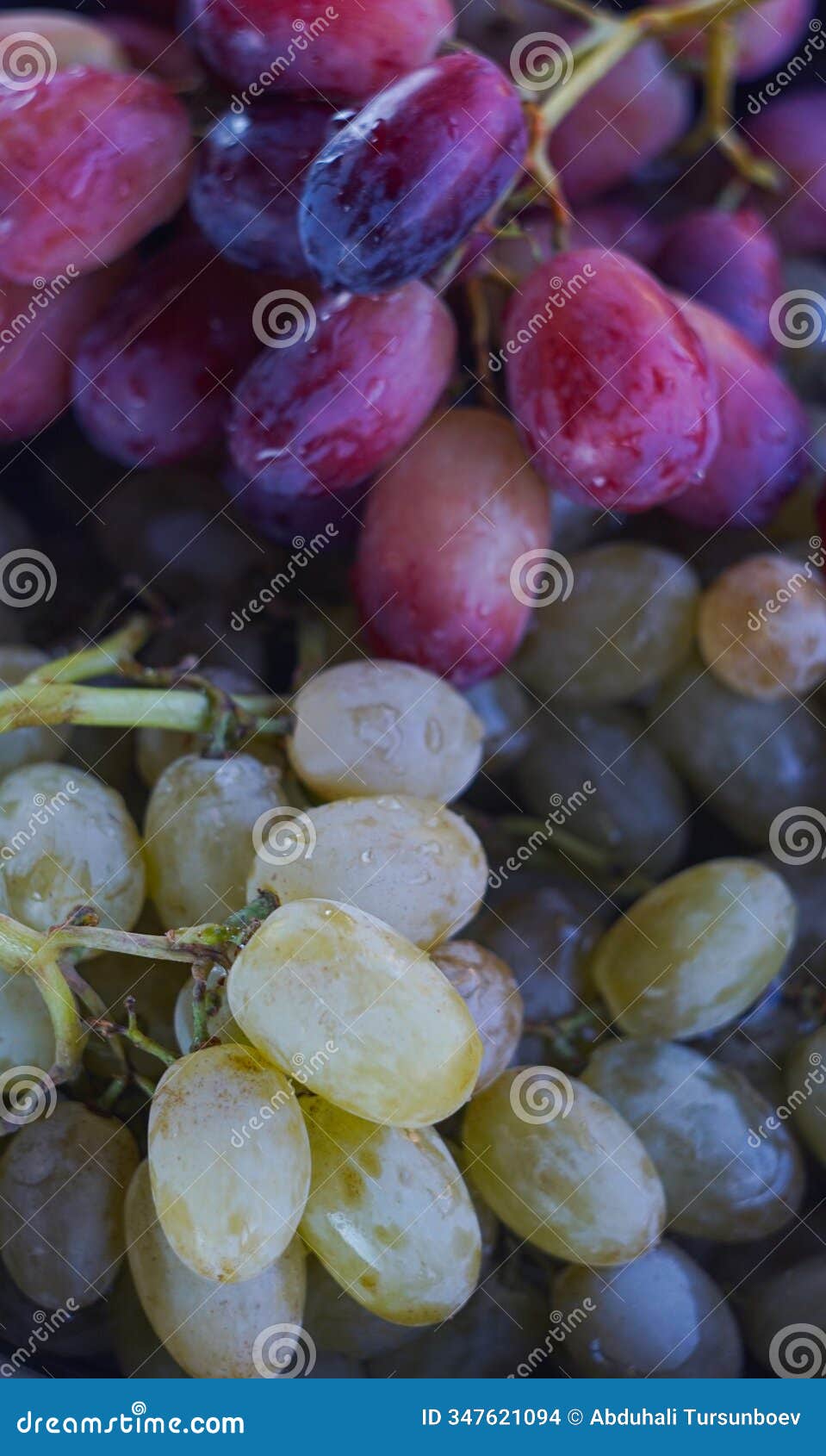 Red and White Grapes are Washed with Water Stock Photo - Image of sweet ...