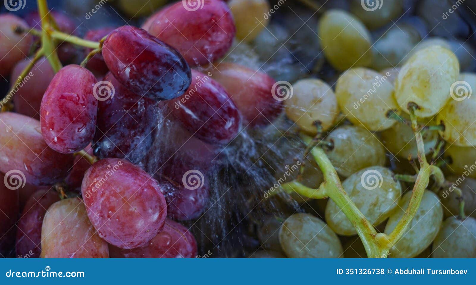 Red and White Grapes are Washed with Water Stock Photo - Image of juicy ...