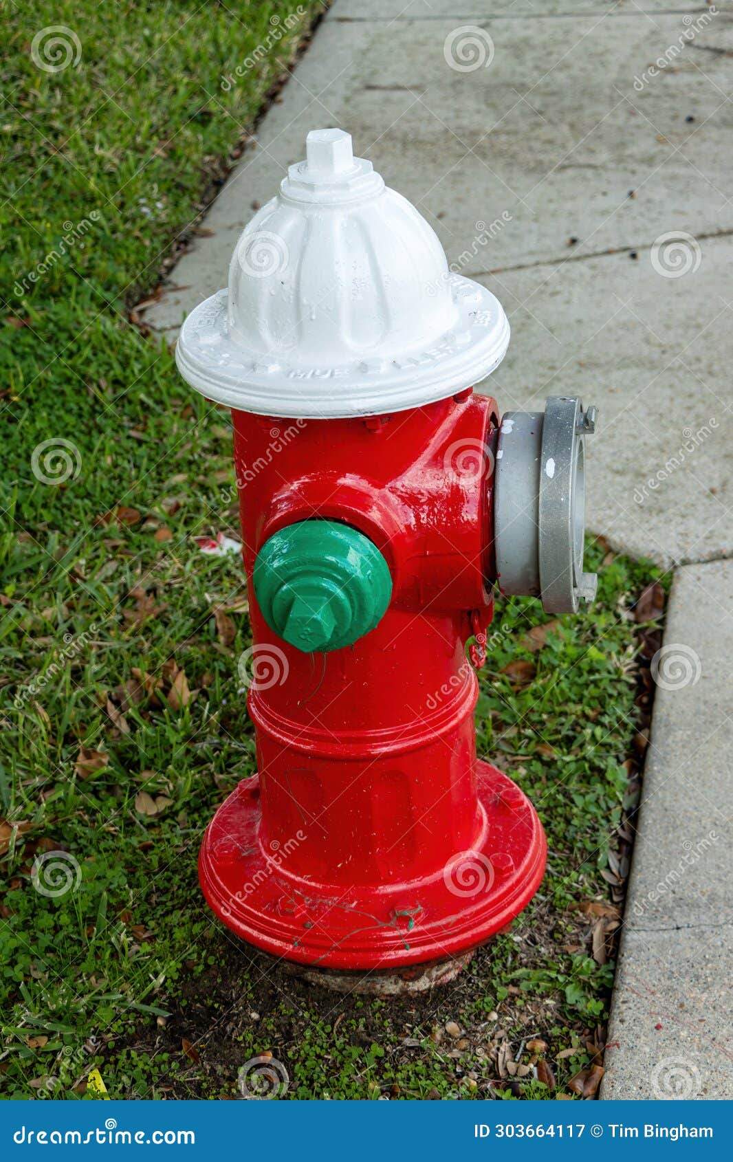 Lone Fire Hydrant in the Grass Stock Image - Image of steel, grass: 303664117