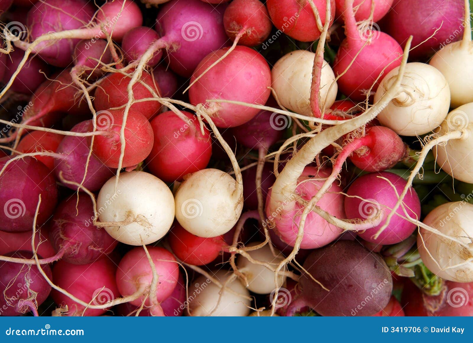 Red, White and Hot stock photo. Image of spice, food, spicy - 3419706