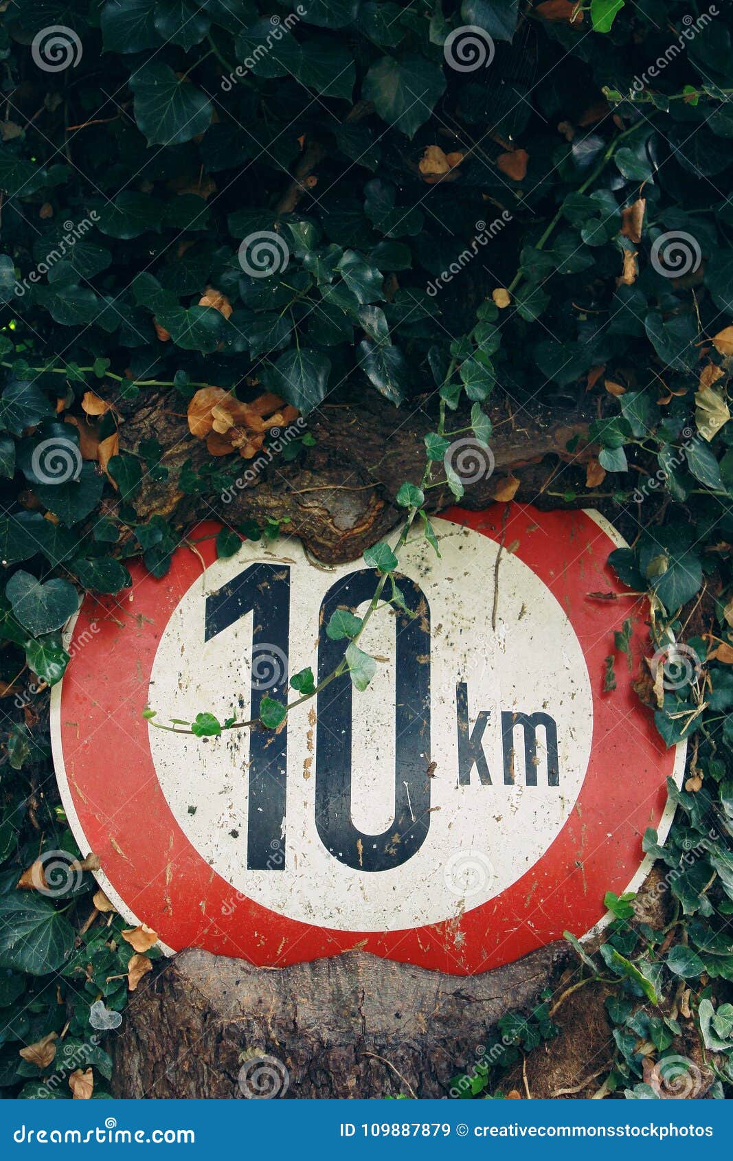 Red And White 10 Km Sign Picture. Image: 109887879