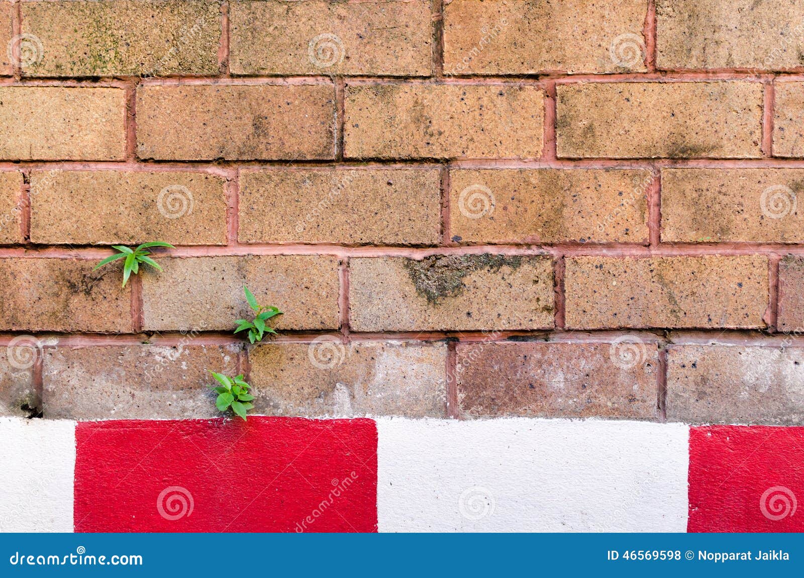 Red and White Line Under Brick Wall Texture Background Stock Photo ...