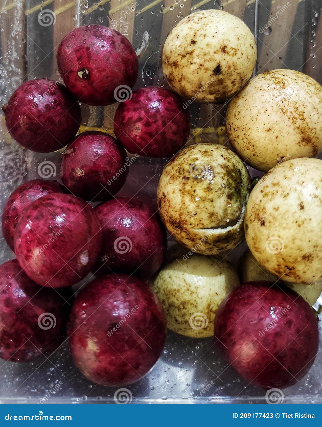 Red and white longan fruit stock image. Image of longan - 209177423