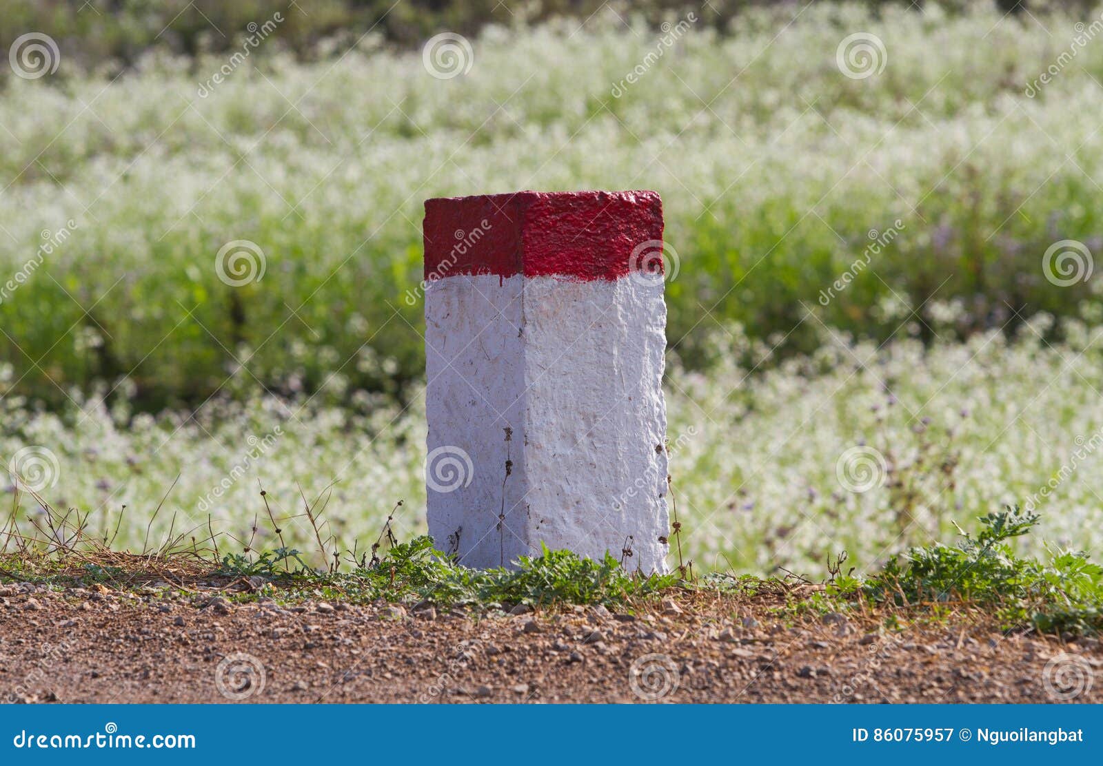 Red and White Painted Milestones Stock Image - Image of concept ...