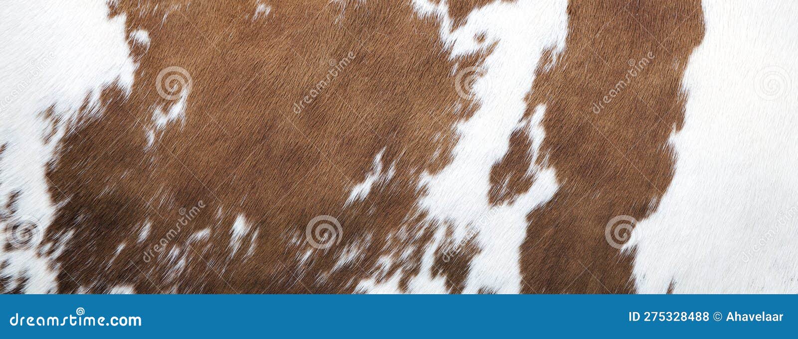 Red and White Pattern on Cowhide Stock Photo - Image of print, closeup ...