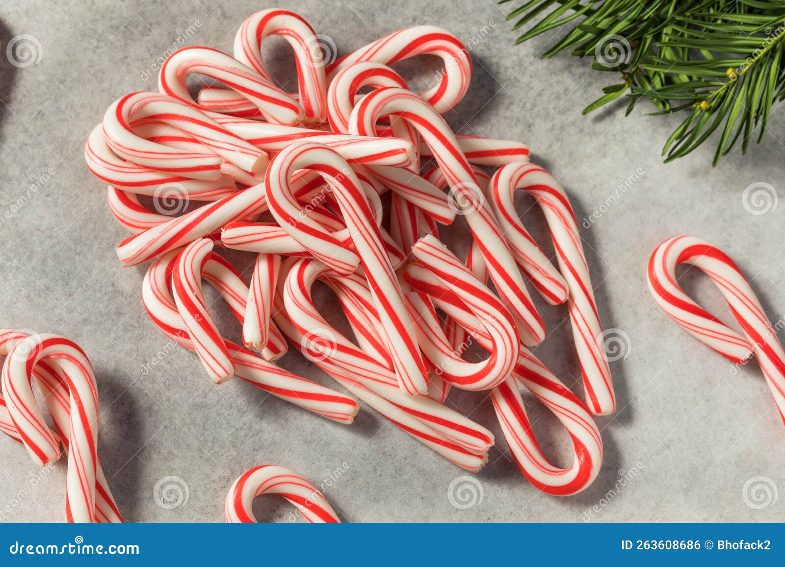 Red and White Peppermint Mini Candycanes Stock Photo - Image of candy ...