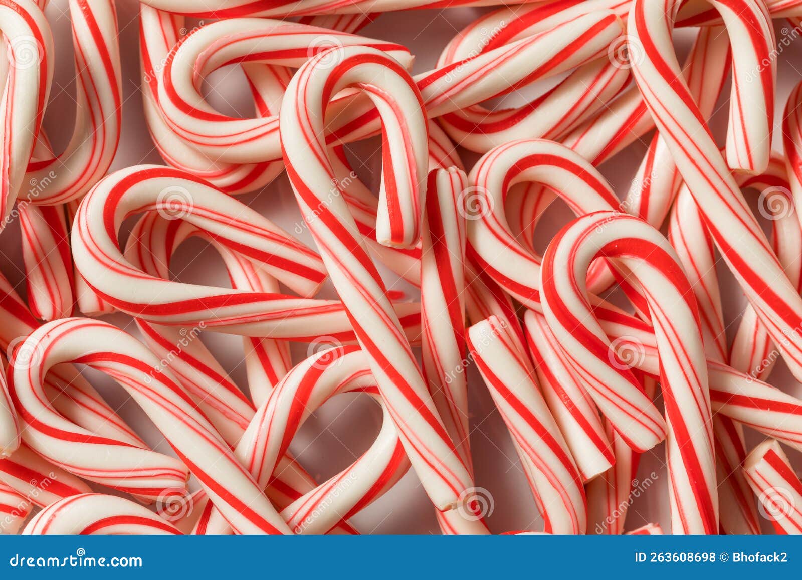 Red and White Peppermint Mini Candycanes Stock Photo - Image of ...